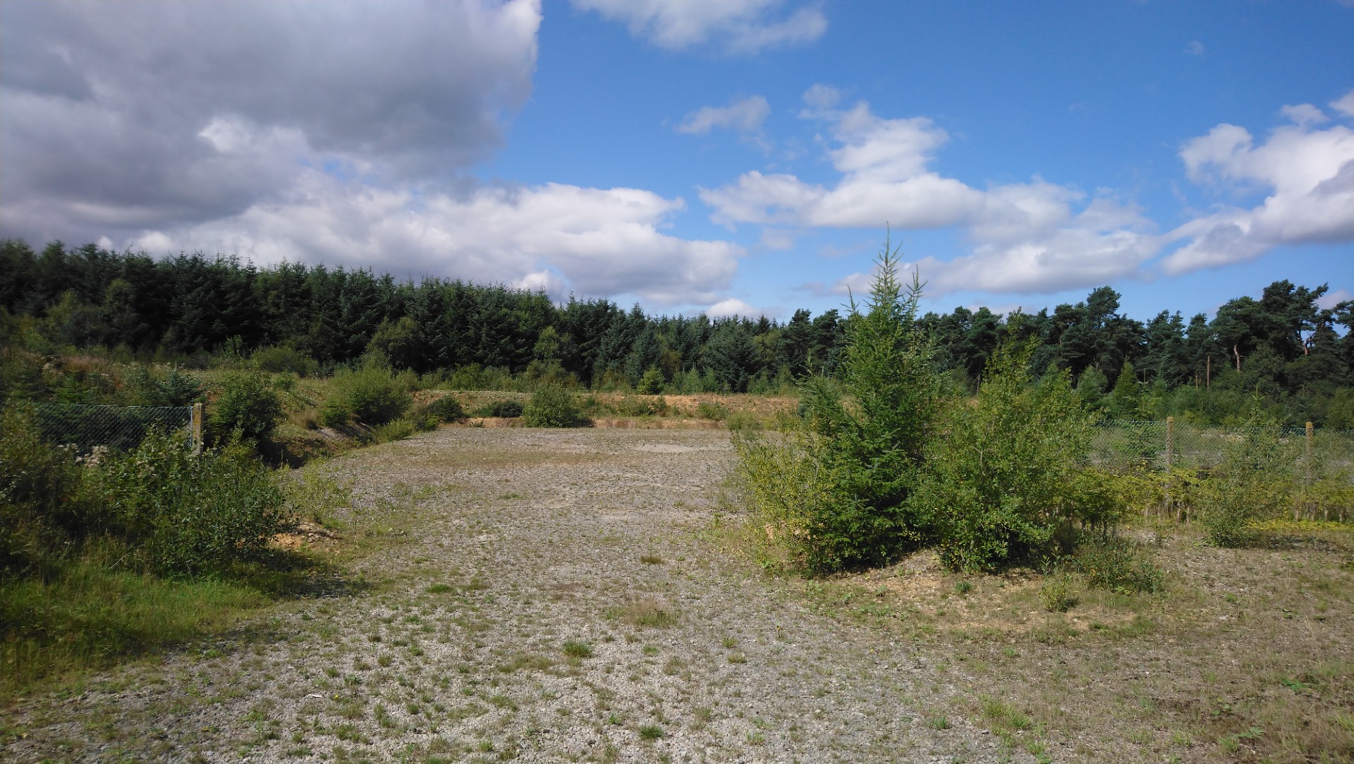 Ebberston Moor – DRILL OR DROP?