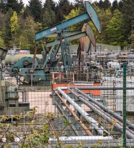 Star Energy reports below expectation production and delays at ...